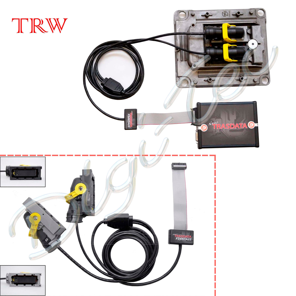 Venta Cableado con conectores ECU TRW - F34NTA23 + activación VXXNTA23 ...
